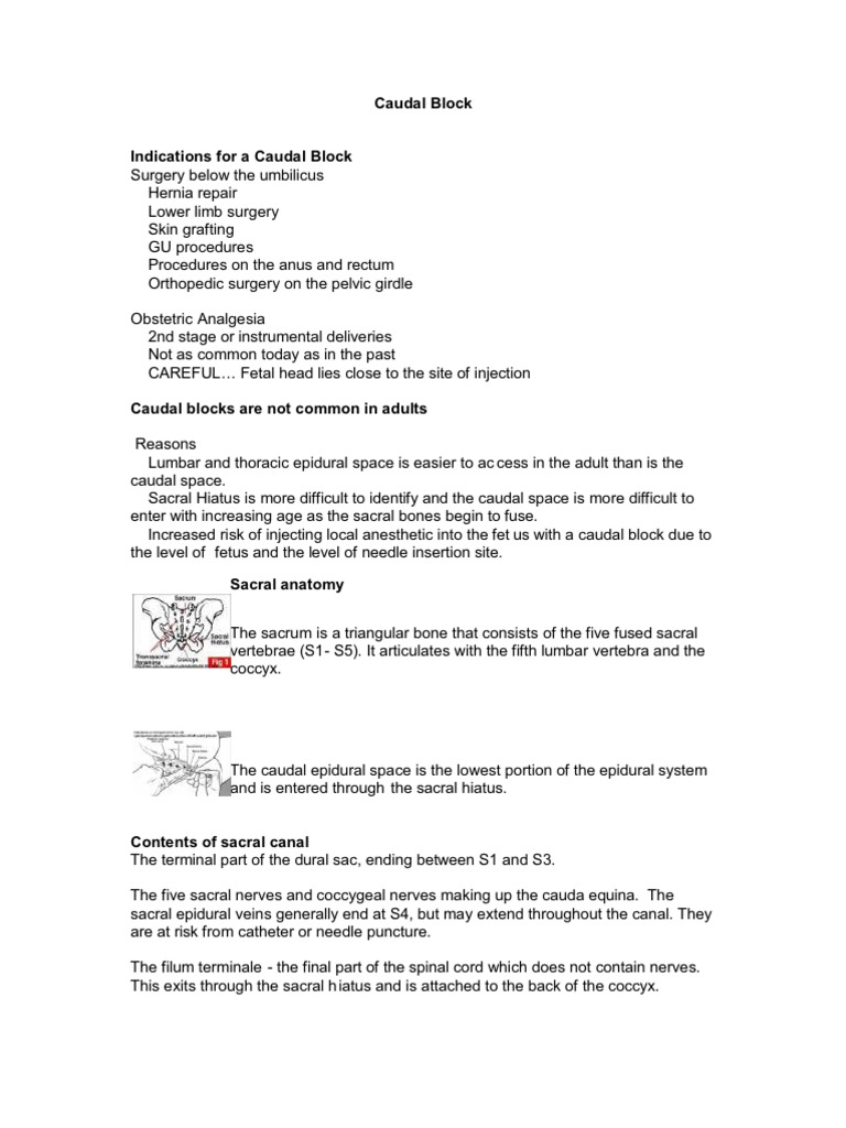 Caudal Block | PDF | Self-Improvement | Science & Mathematics