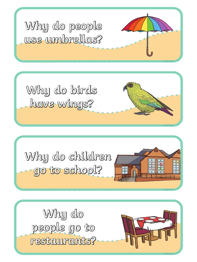 T S 2144 Why Question Cards - Ver - 1 | PDF