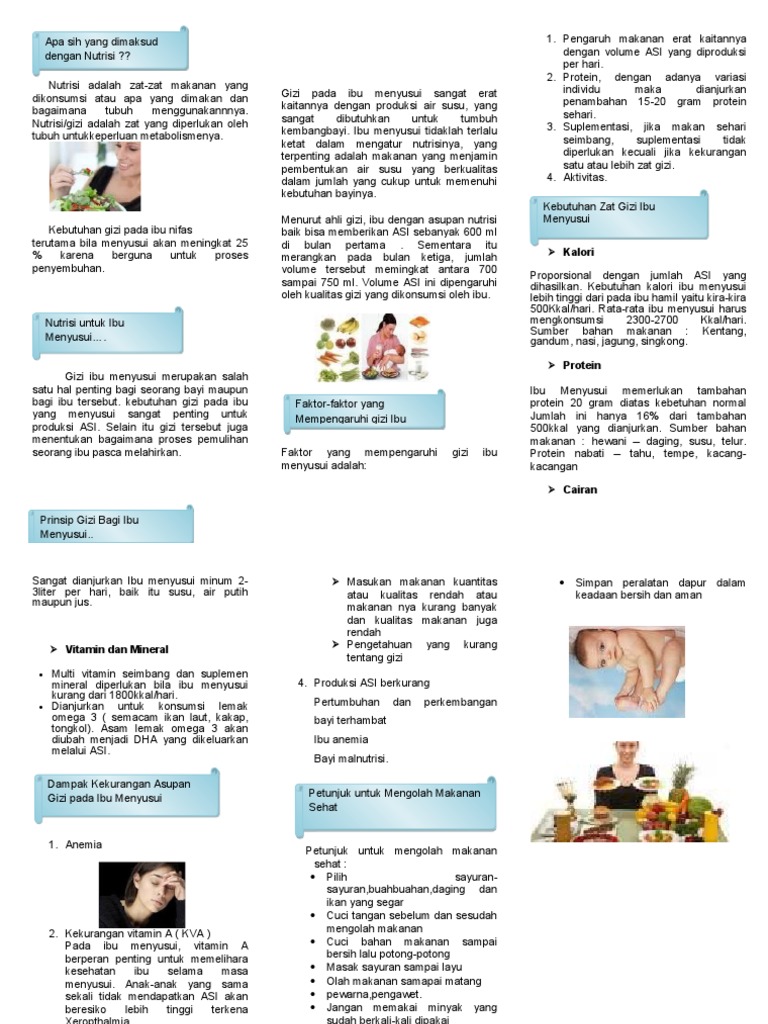 Konseling Gizi LEAFLET IBU MENYUSUI | PDF