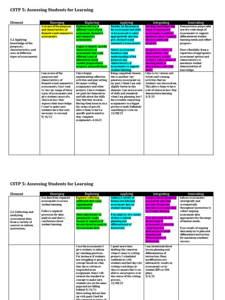 CSTP 5 Moser 3 | PDF | Educational Assessment | Differentiated Instruction