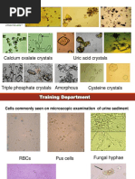 Fecalysis: Procedure and Analysis Guide | PDF | Parasitism | Feces