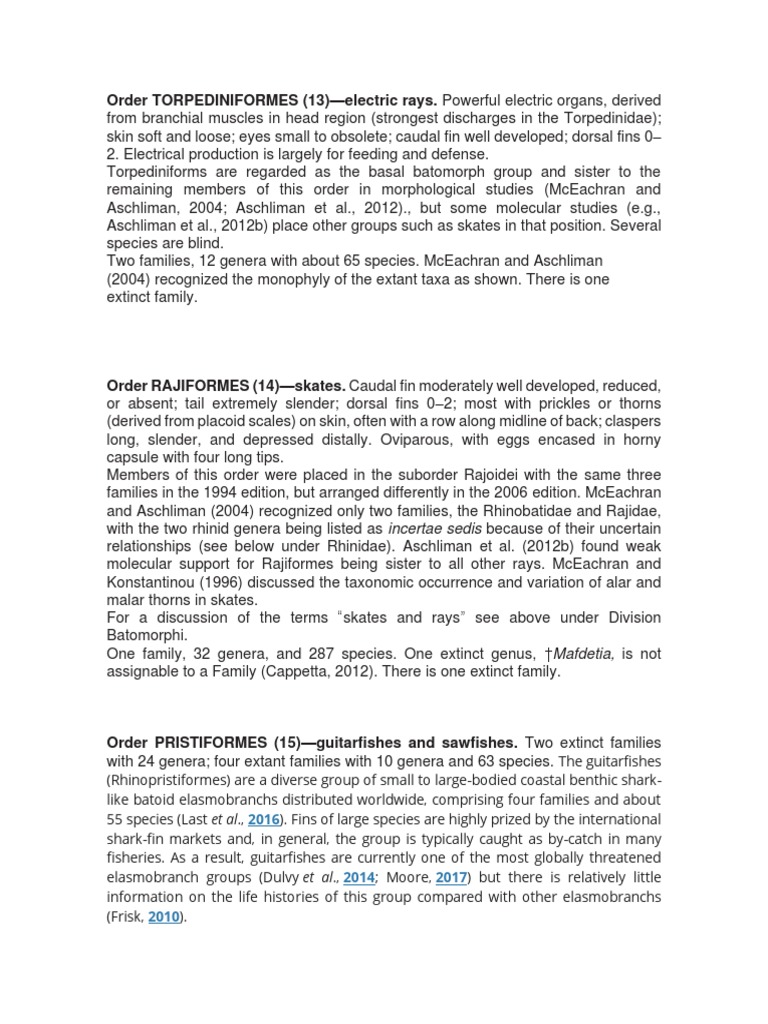 Ordenes Batoideos | PDF | Fish | Vertebrates