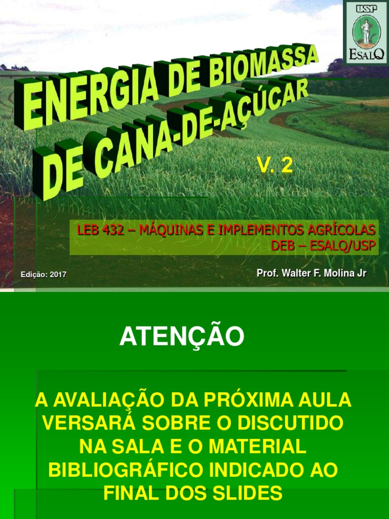 Biomassa e Energia na Agricultura | PDF | Cana de açúcar | Combustão