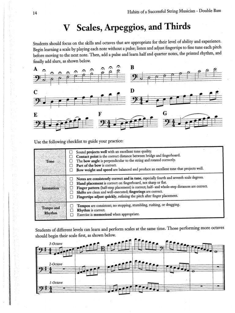 Bass Major Scales | PDF