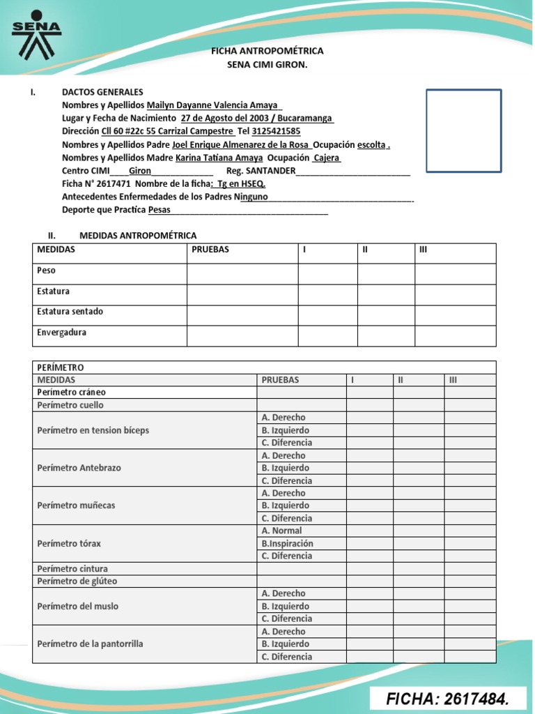 Ficha Editable Segun Carrera | PDF