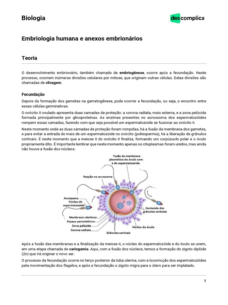 Embriologia Humana e Anexos Embrionários | PDF | Fertilização | Ovo