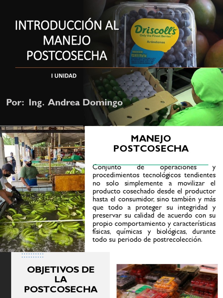 I Unidad M. Postcosecha | PDF | Respiración | Química