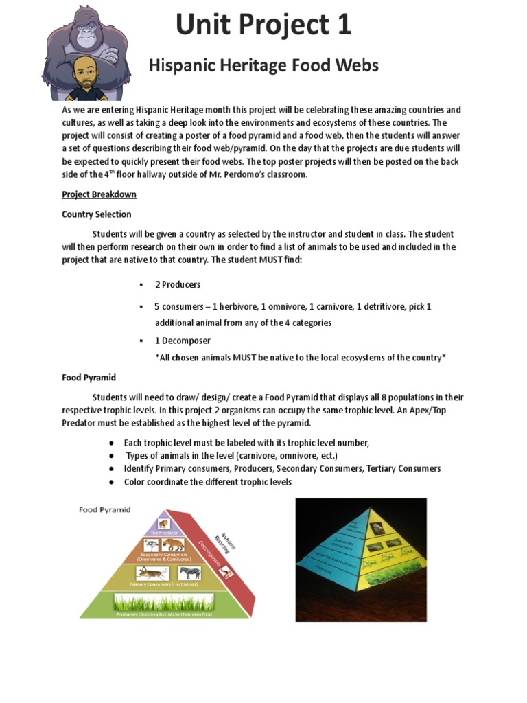 HH Food Web U1 Project | PDF | Food Web | Ecosystem