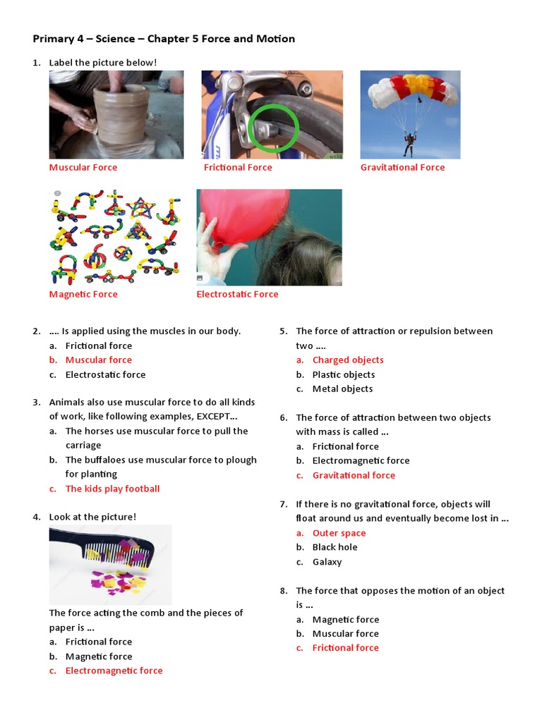 Primary 4 Science Chapter 5 Force and Motion Jawaban | PDF | Magnet | Force