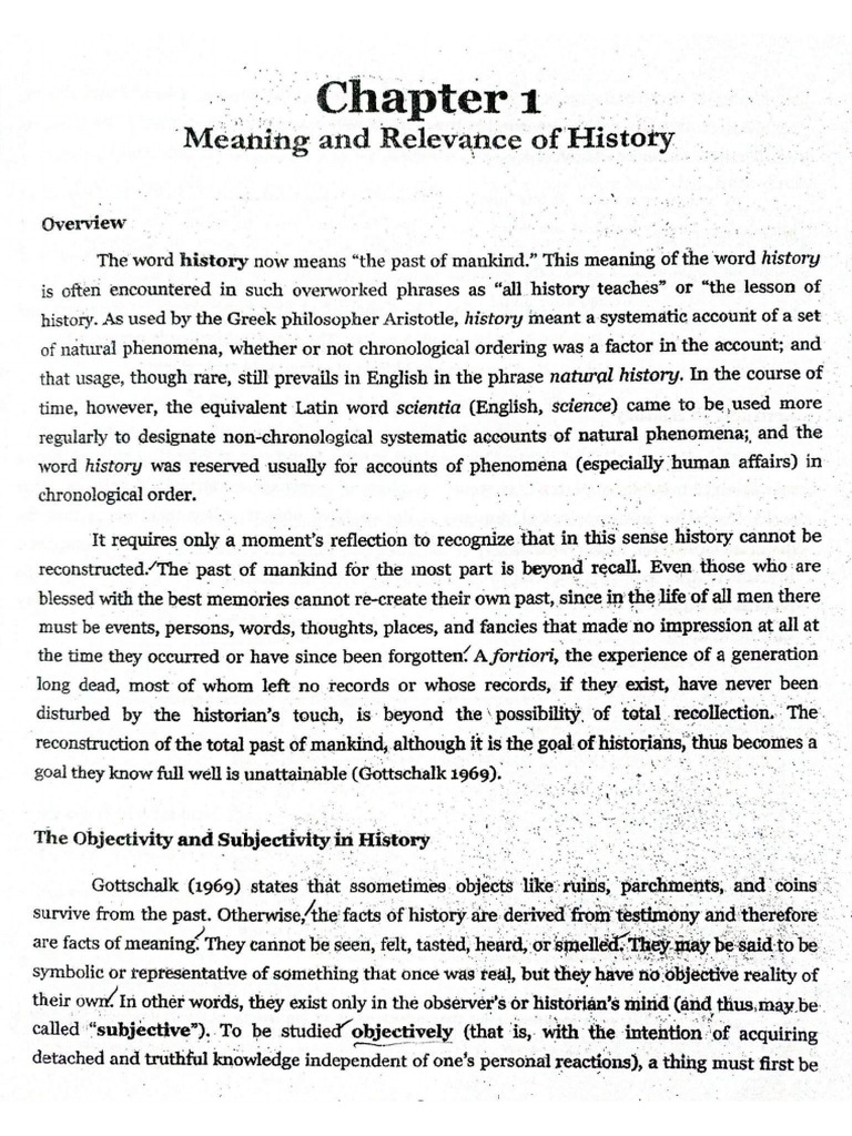 Meaning and Relevance in History | PDF