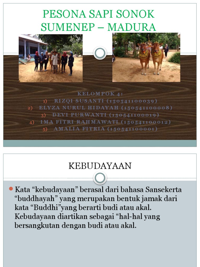 Sapi Sonok-1 PPT Fiks | PDF | Ilmu Sosial | Sejarah