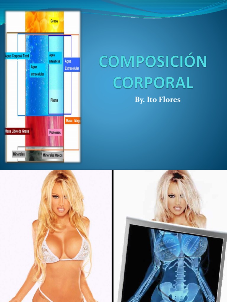 Composicion Corporal | PDF | Tejido adiposo | Tejido (biología)