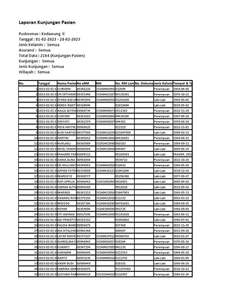 Laporan Kunjungan Pasien | PDF