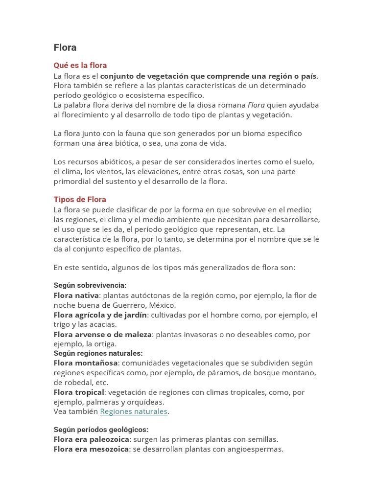 Definición y características de la flora | PDF | Hogar, jardinería y ...