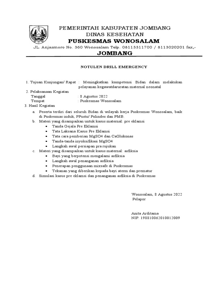 Notulen Pembinaan Bumil Risti | PDF