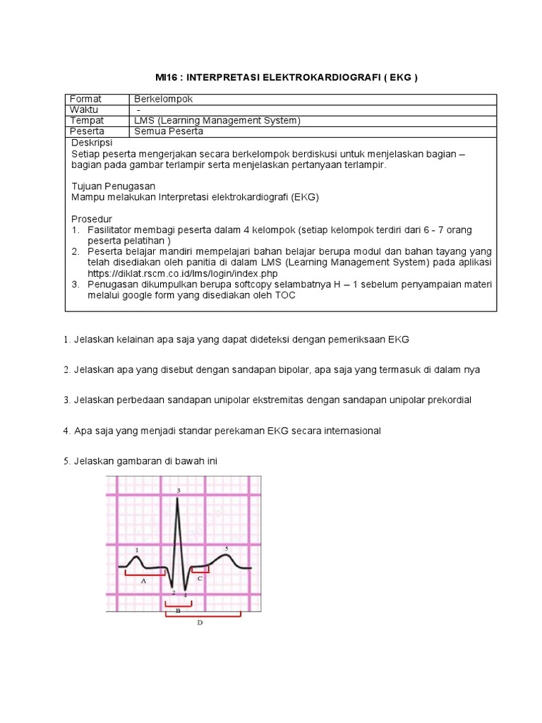 Penugasan MI 16 Interpretasi EKG | PDF | Sains & Matematika | Komputer