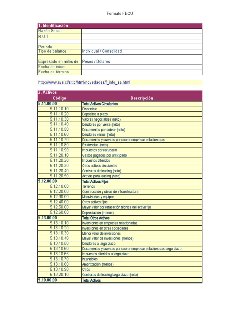 Formato FECU | PDF | Dividendo | Compartir (Finanzas)