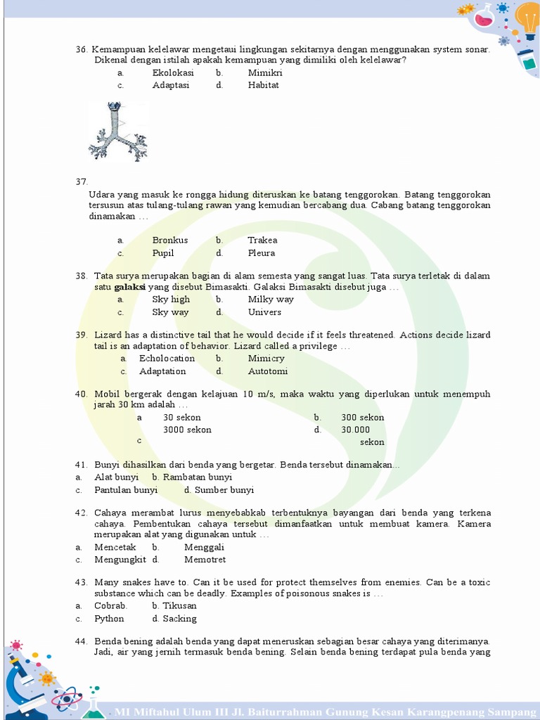 Adaptasi dan Ekolokasi pada Hewan | PDF
