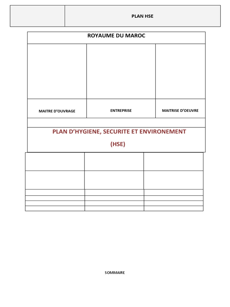 Plan H.S.E | PDF