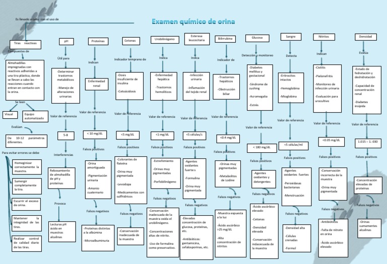 Mapa Conceptual | PDF | Especialidades Medicas | Medicina CLINICA