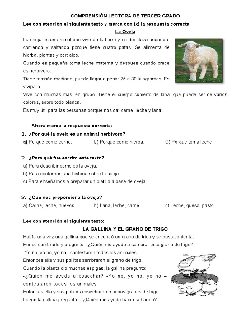 COMPRENSIÓN LECTORA DE TERCER GRADO | PDF | Oveja | Carne