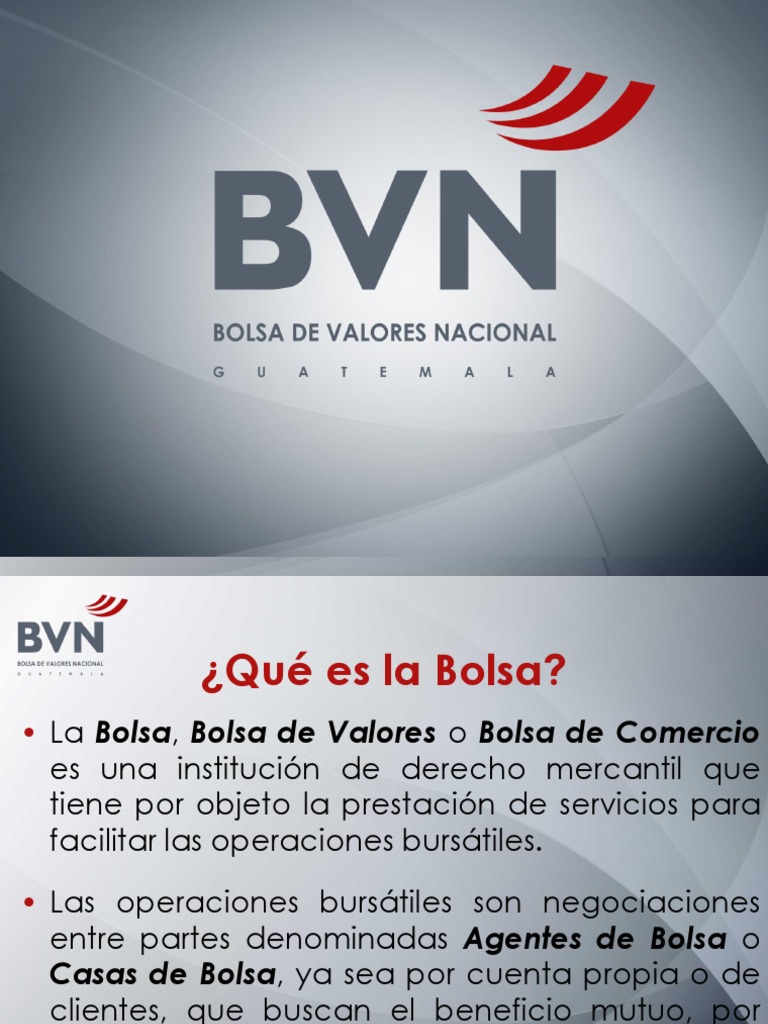 01 Bolsa de Valores Nacional | PDF | Bolsa | Deuda