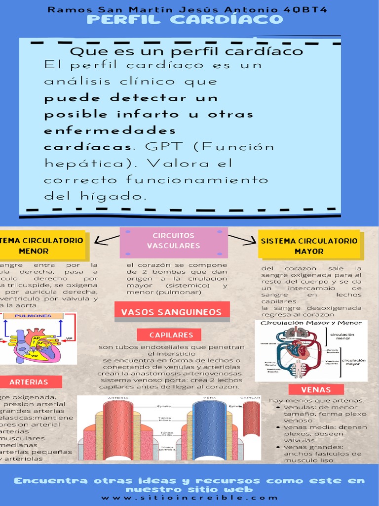 Análisis del Perfil Cardíaco: Detección de Riesgos | PDF | Salud y ...