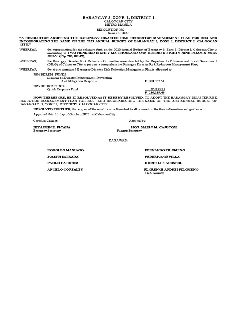 Resolution - BDRRM 3 | PDF | Safety | Civil Defense