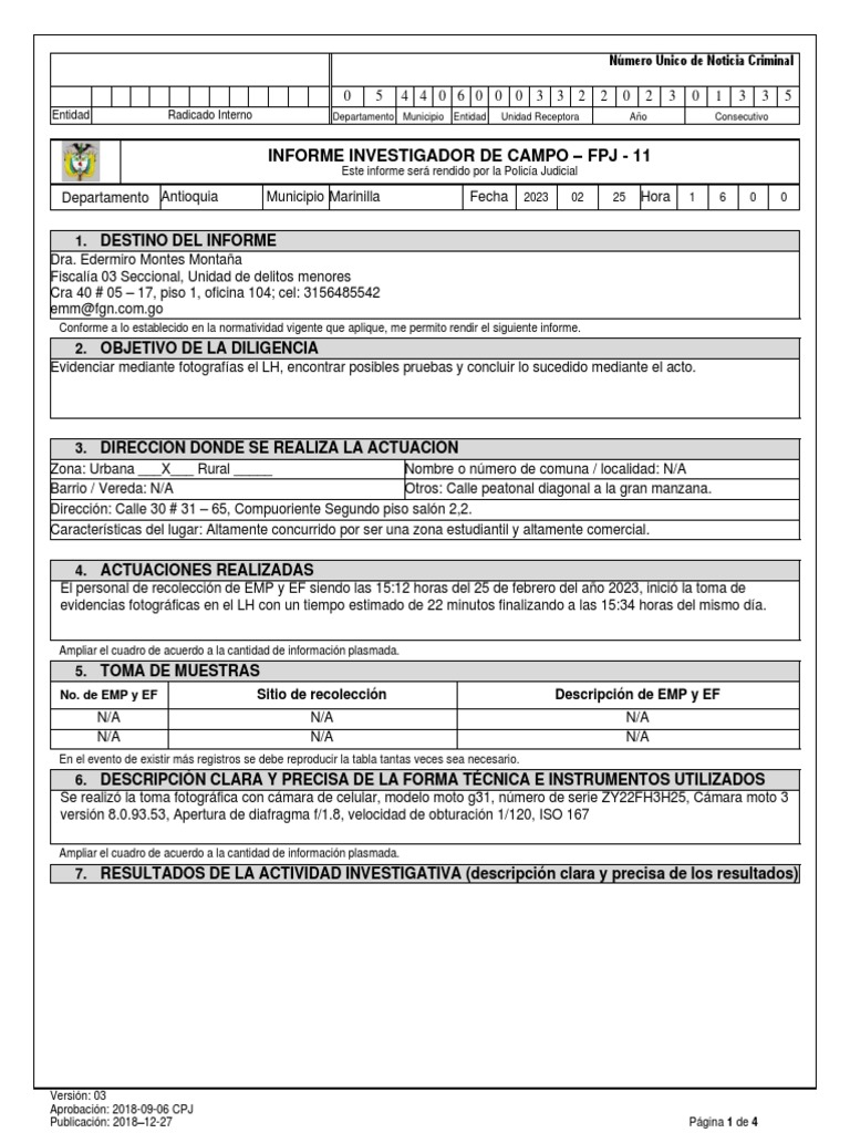 FPJ-11-Informe-Investigador-de-Campo-V-0 | PDF | Óptica | Visión