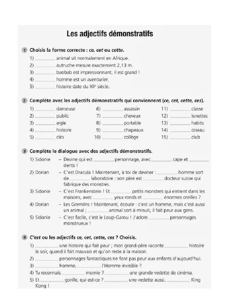 Les Adjectifs Demonstratifs 3 | PDF