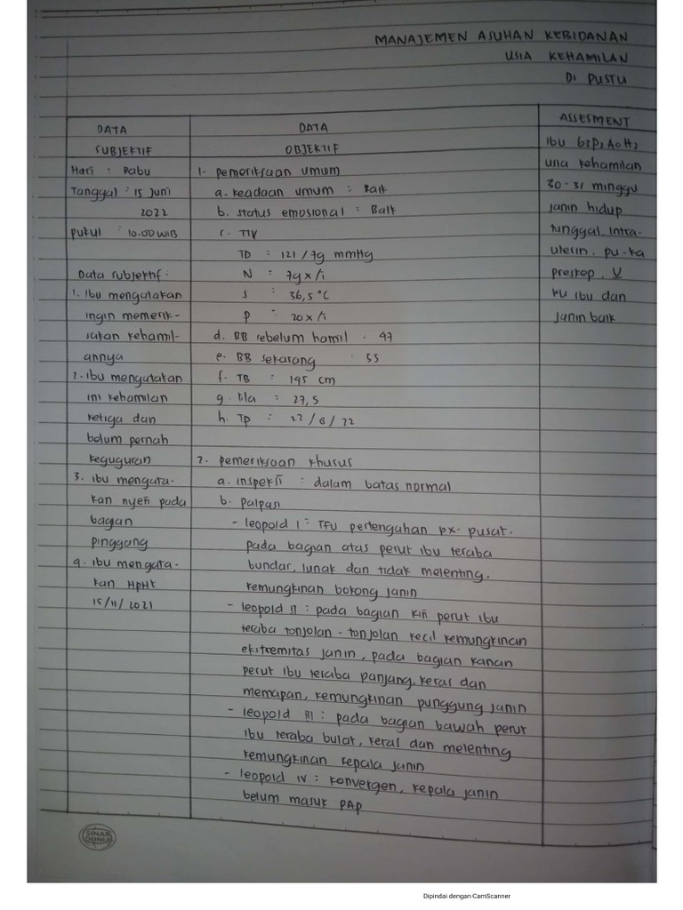 Kehamilan 30-31 MG - SOAP | PDF