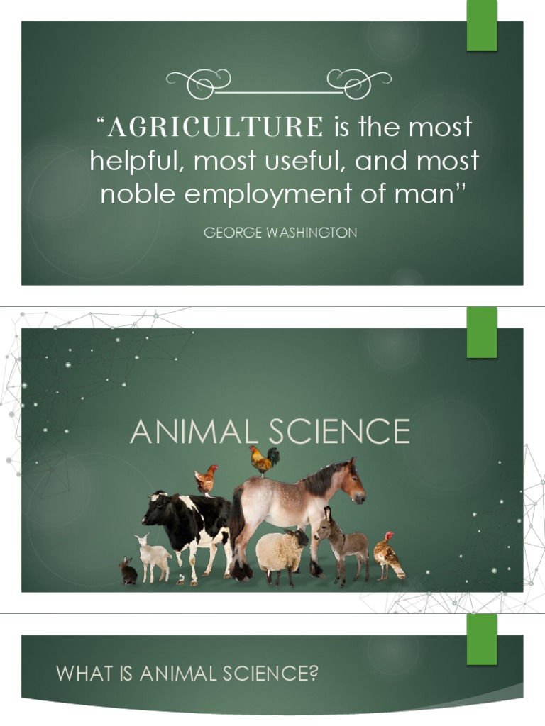 Poultry Animal Science Overview | PDF | Reproductive System | Chicken