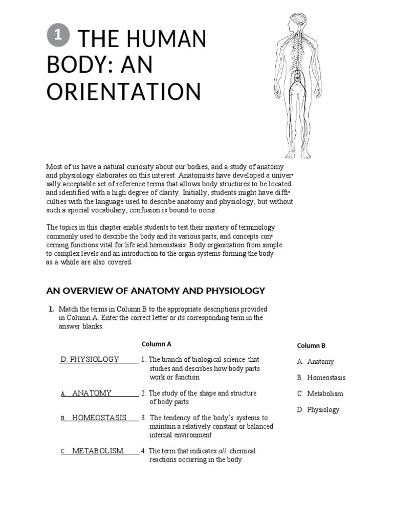 Activity Worksheet Chapter 1 | PDF | Anatomical Terms Of Location ...