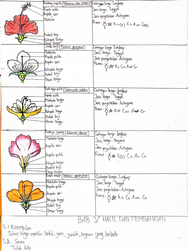 Morfologi Bunga | PDF