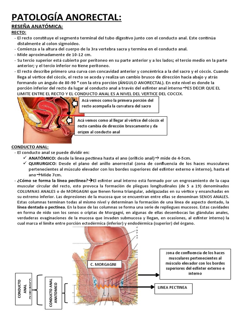 Patología Anorectal | PDF | Hemorroides | Cáncer colonrectal