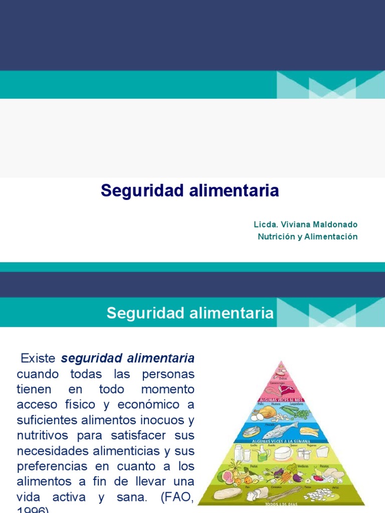 Seguridad Alimentaria Nutricional | PDF | Alimentos | Seguridad alimentaria