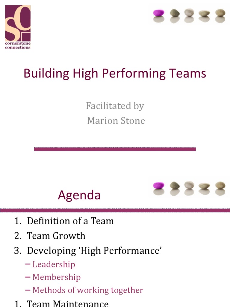 Building High Performing Teams: Facilitated by Marion Stone | PDF ...