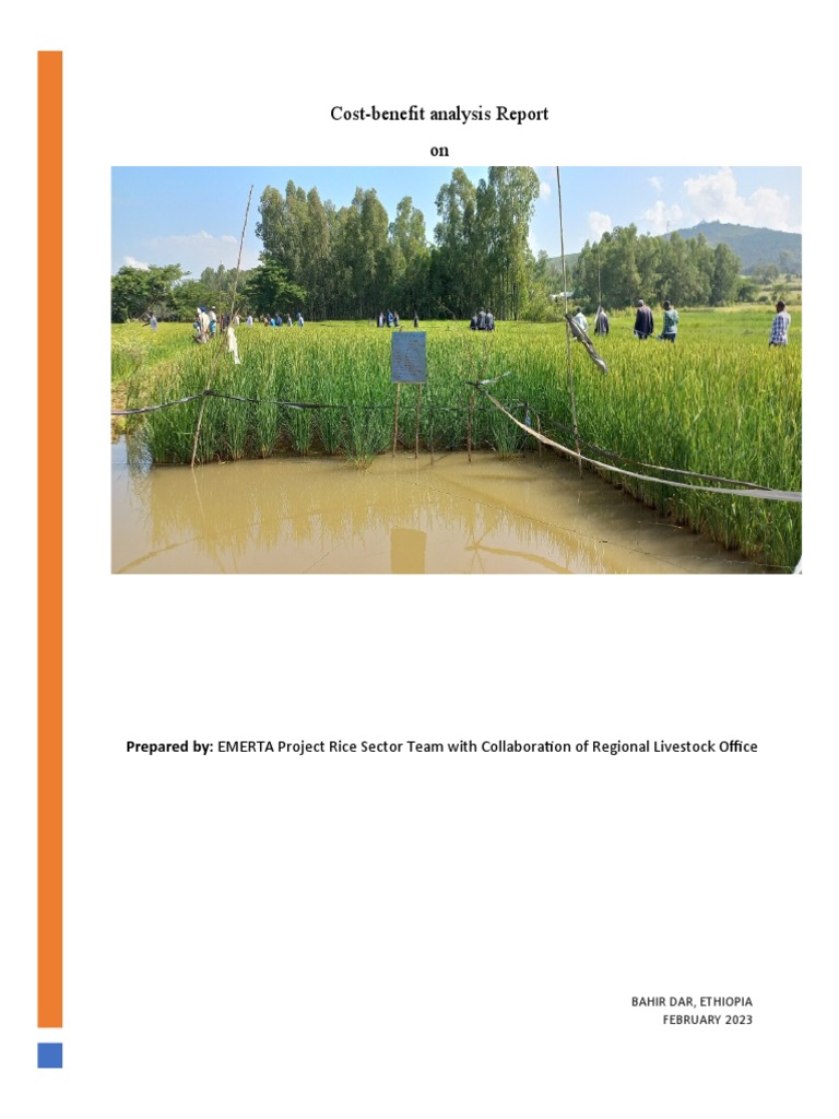 CB Analaysis Report On Rice and Fish Integration Farm Practices | PDF ... CB Analaysis Report On Rice and Fish Integration Farm Practices | PDF ...