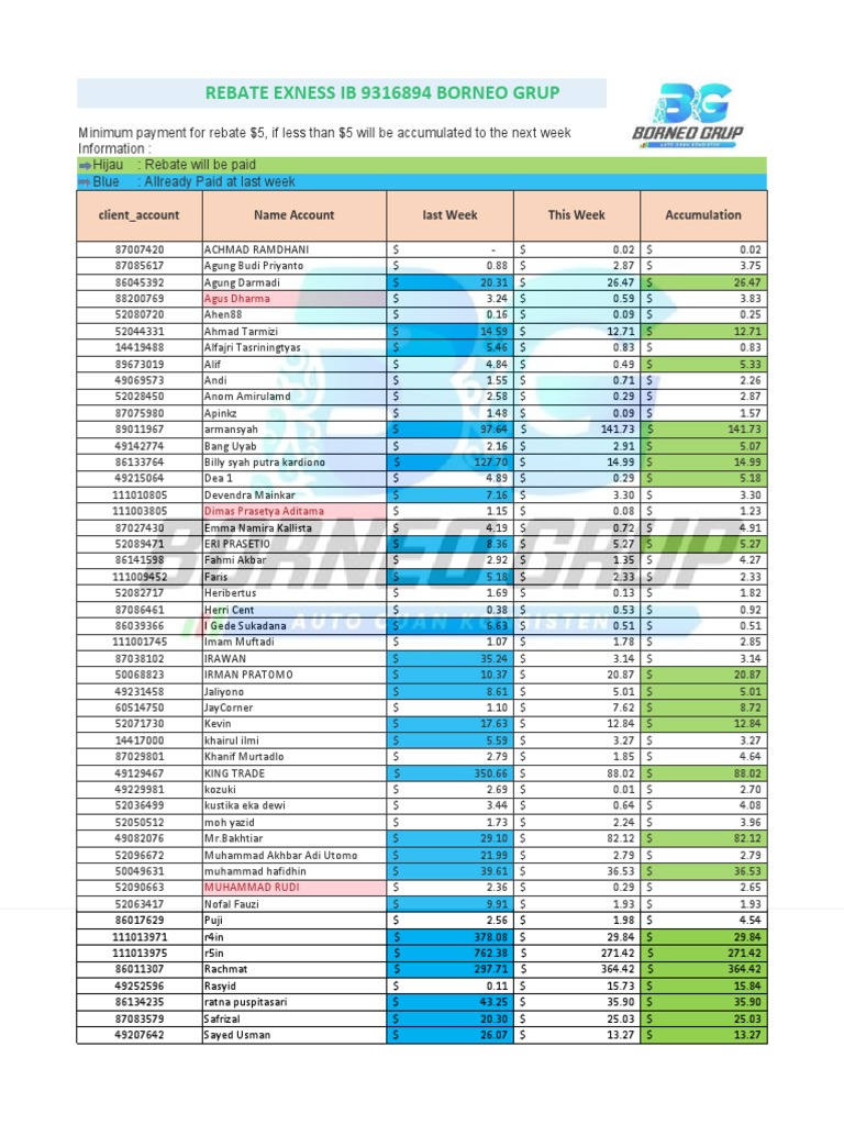 Exness IB Rebate Summary Borneo Grup | PDF | Cooking, Food & Wine