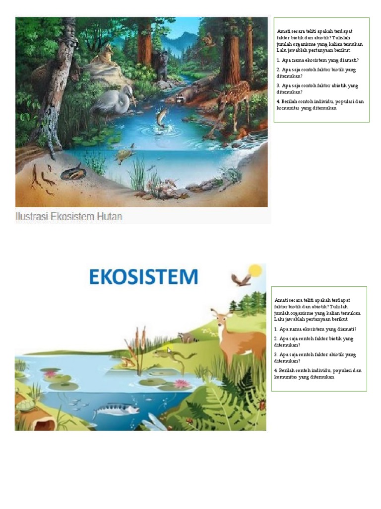 LKPD Ekosistem | PDF