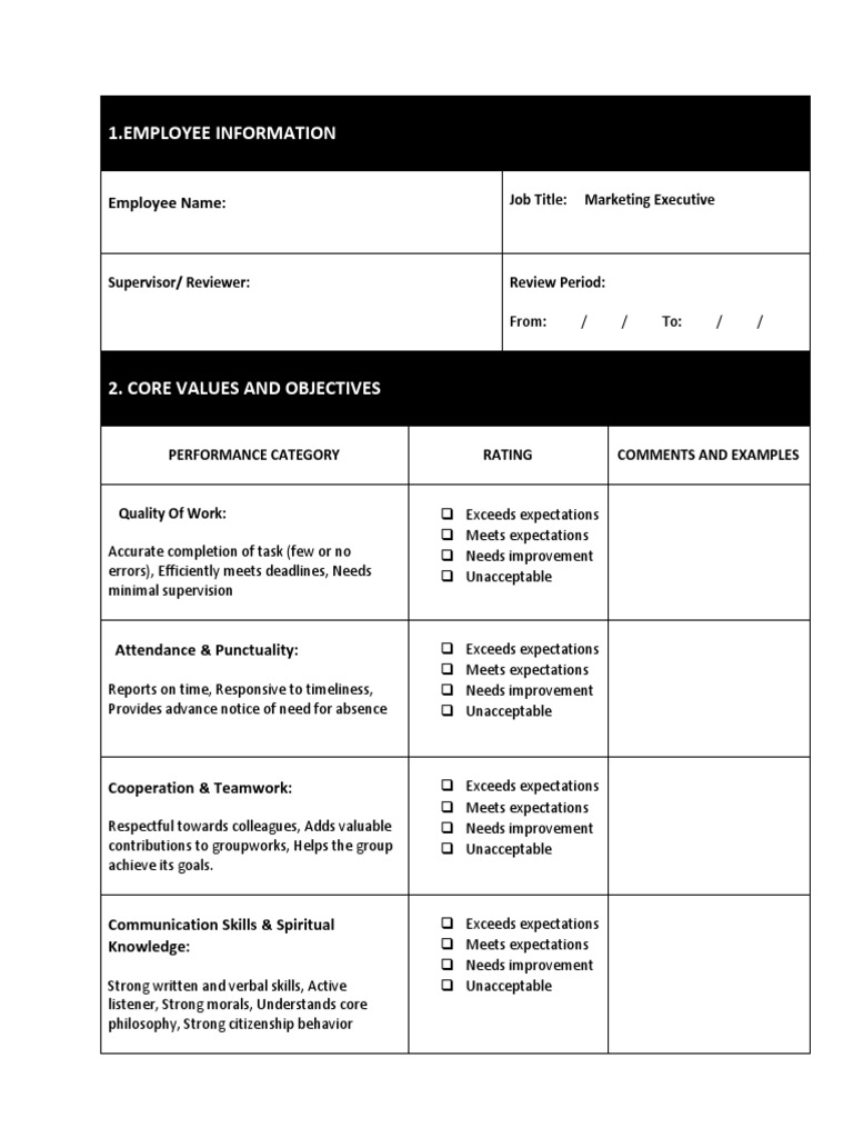 Marketing Executive Performance Review | PDF | Business | Cognitive Science