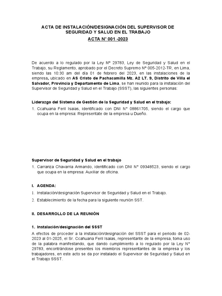 Acta de Instalación Supervisor SST | PDF | Justicia | Crimen y violencia