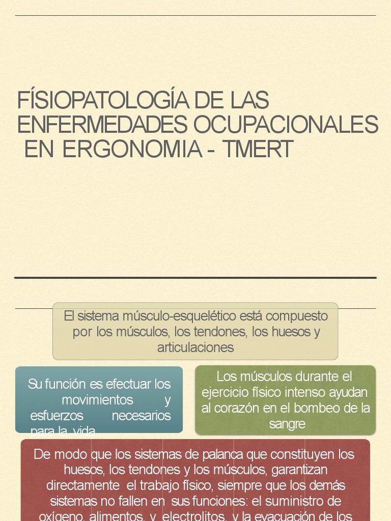 ERGONOM%C3%8DA+clase+6-convertido | PDF | Factores humanos y ergonomía | Músculo