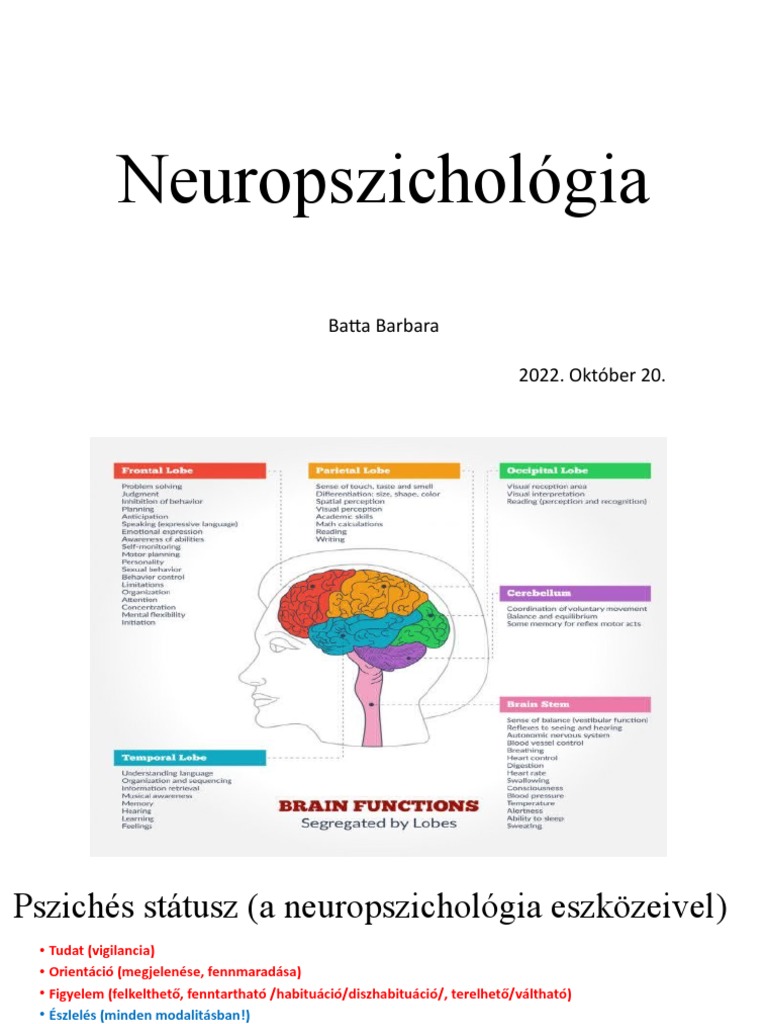 Neuropszichológia Neuro 4 | PDF