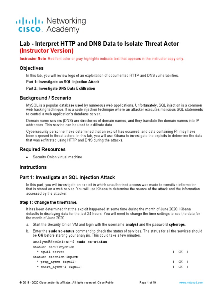 SQL Injection & DNS Data Exfiltration Lab | PDF | World Wide Web | Internet & Web