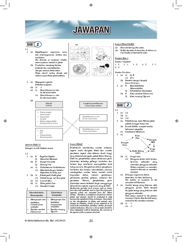 OPS A Sains TG 2 (Jaw) - Yap 2p | PDF