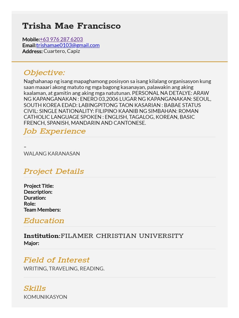 Young Job Seeker's Profile | PDF