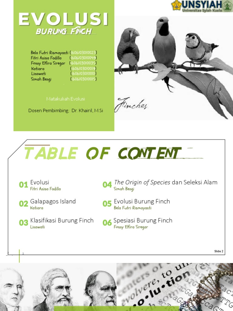 Evolusi Burung Finch (Kelompok 4 - Kelas Evolusi 01 - 2019) | PDF