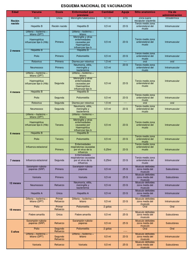 Esquema Nacional De Vacunacion Pdf Salud Pública Biotecnología
