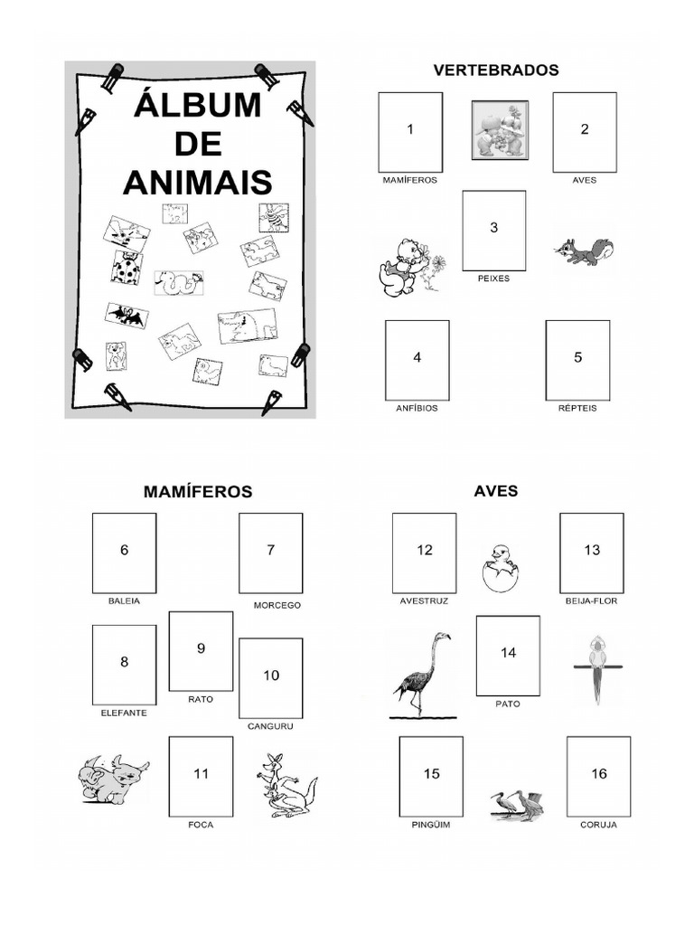 Album Dos Animis Vertebrados e Inertebrados. | PDF